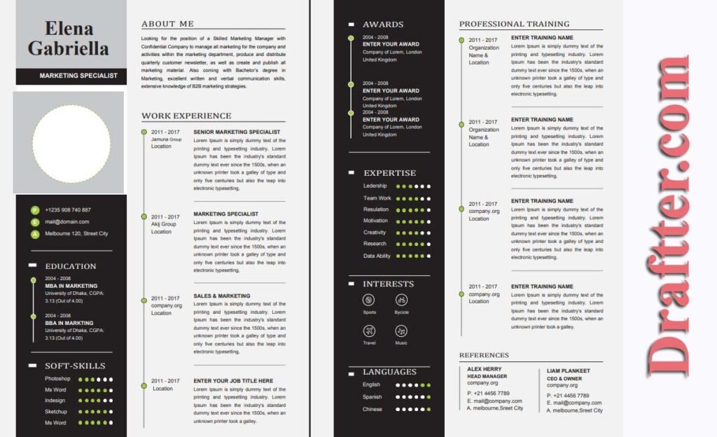 Professional CV Template – Draftter